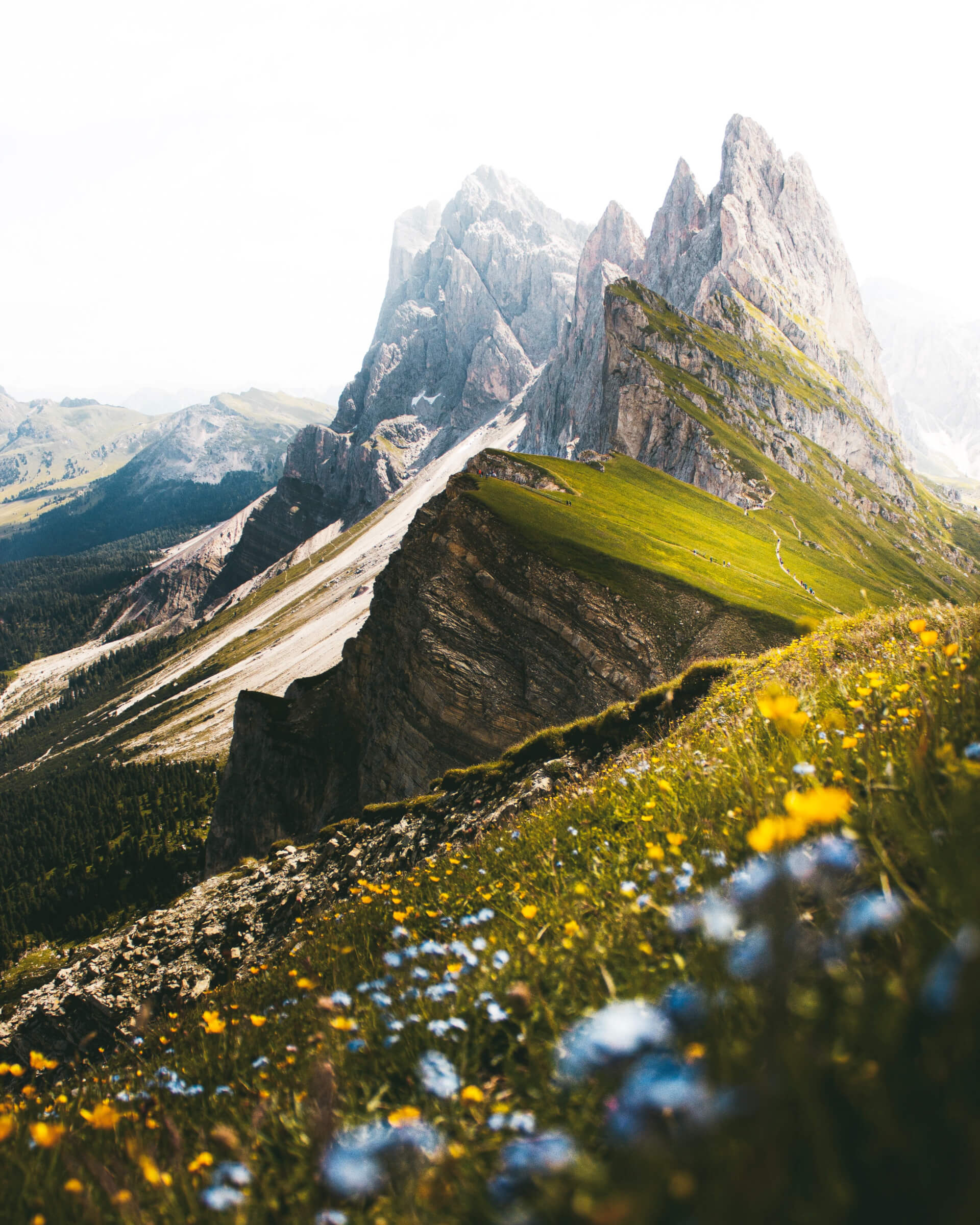 Desa Ababi – Informasi Seputar Desa Ababi